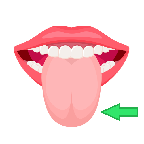 Čítanie – Precvičovanie online – Vieme po slovensky