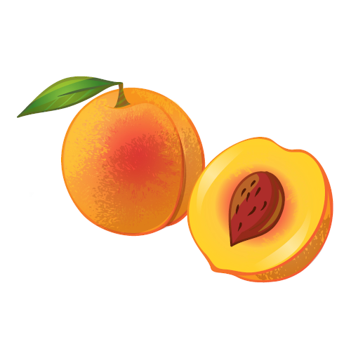 Vieme po slovensky – Online precvičovanie slovenčiny